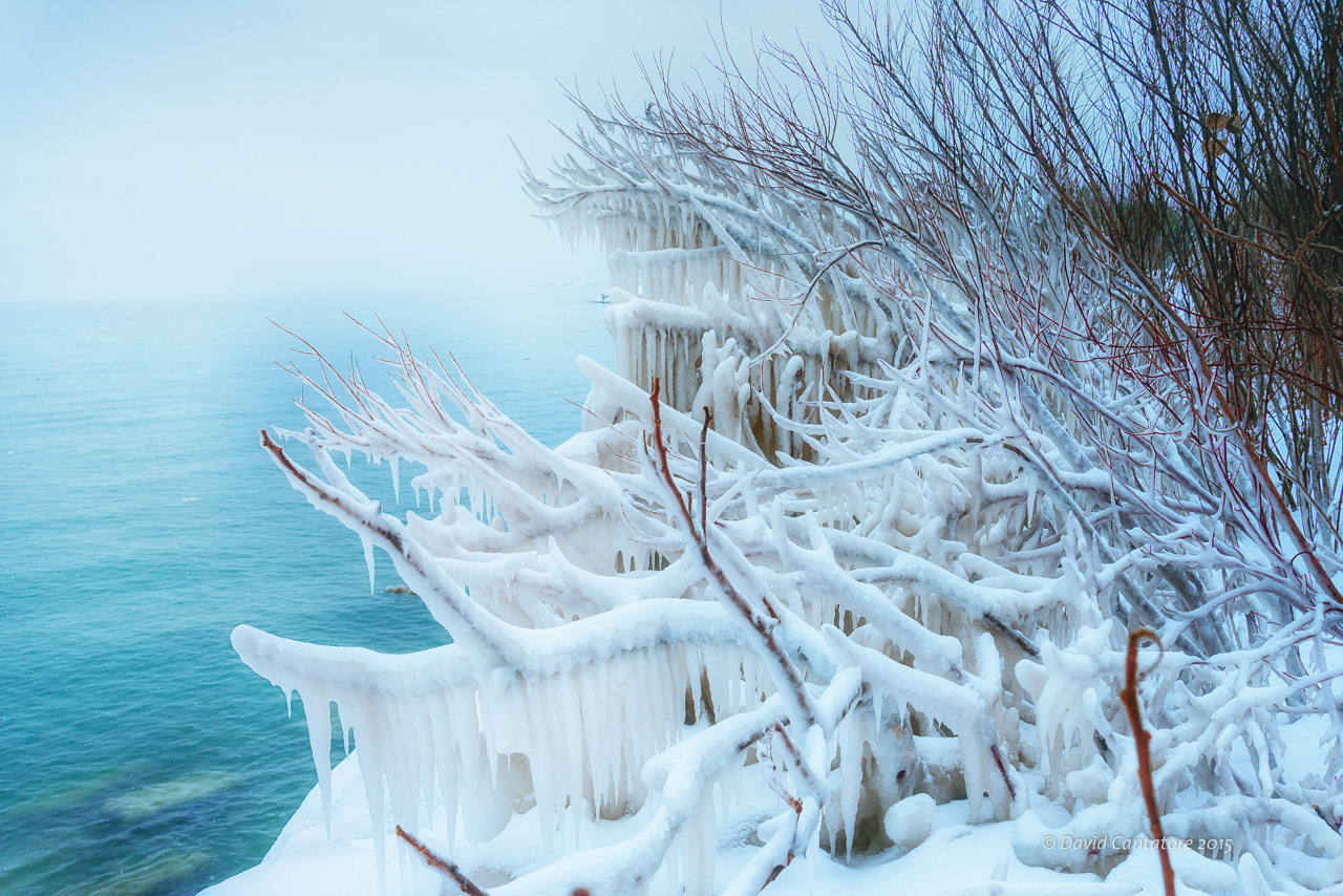 Cold Beach – Mostly Real Stuff