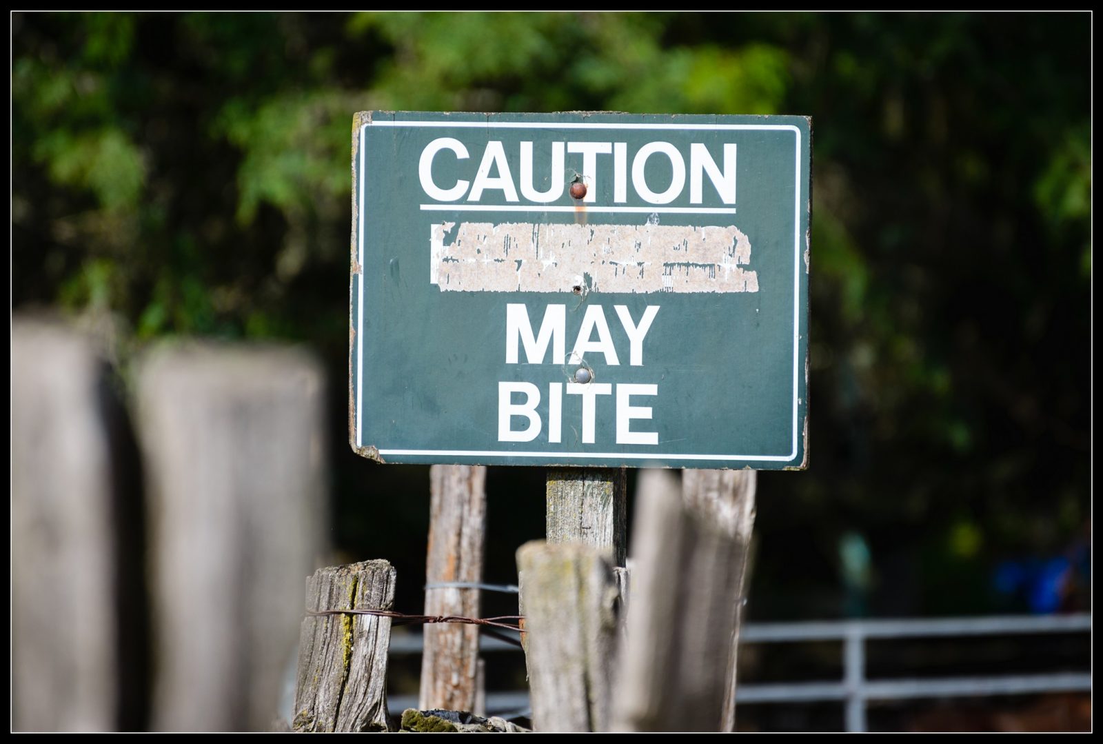 Caution May Bite – Mostly Real Stuff